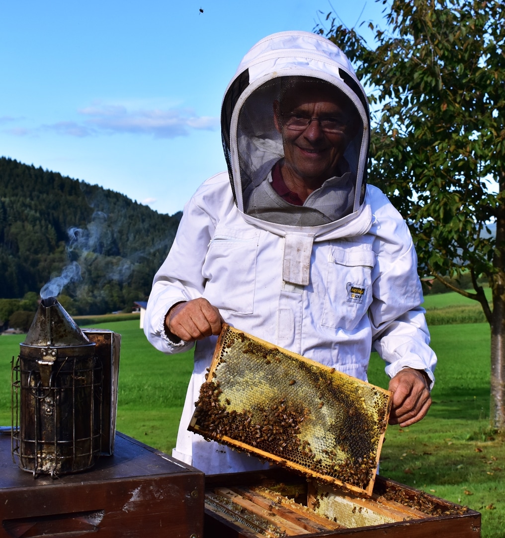 Imkerei - Imkerei Waidele